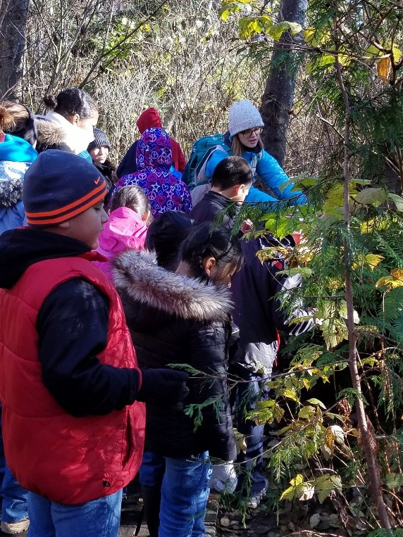 Environmental Science Center – Puget Sound Starts Here Waterlog